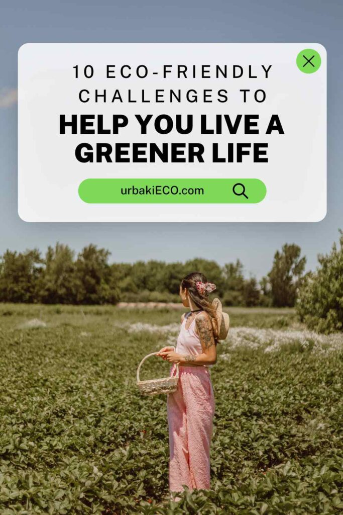 10 Eco-Friendly Challenges to Help You Live a Greener Life