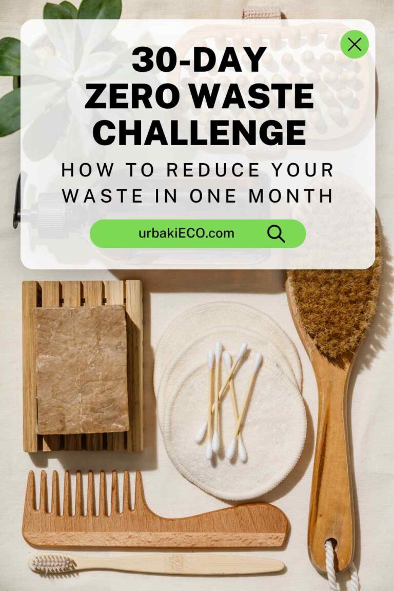 30-Day Zero Waste Challenge: How to Reduce Your Waste in One Month