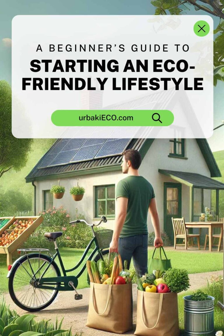 A Beginner’s Guide to Starting an Eco-Friendly Lifestyle