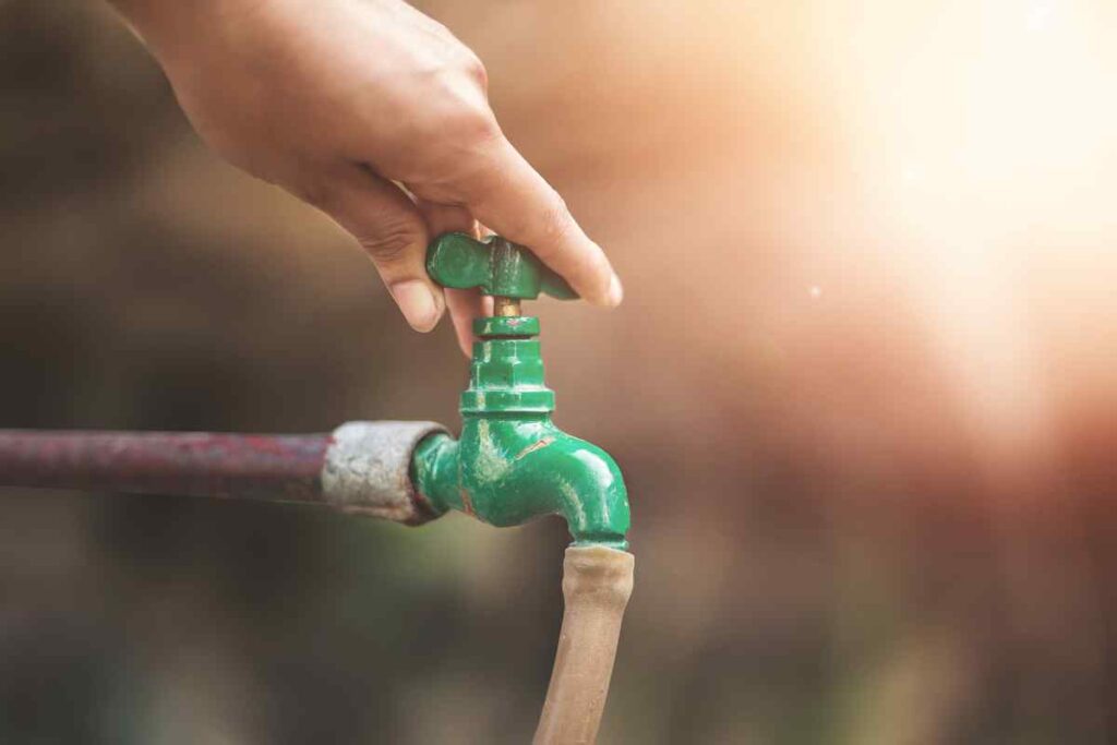 10 Eco-Friendly Challenges to Help You Live a Greener Life