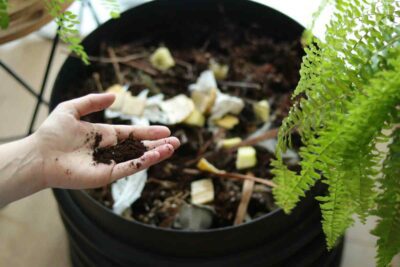 Green DIY Projects for the Garden: Sustainable Gardening Ideas