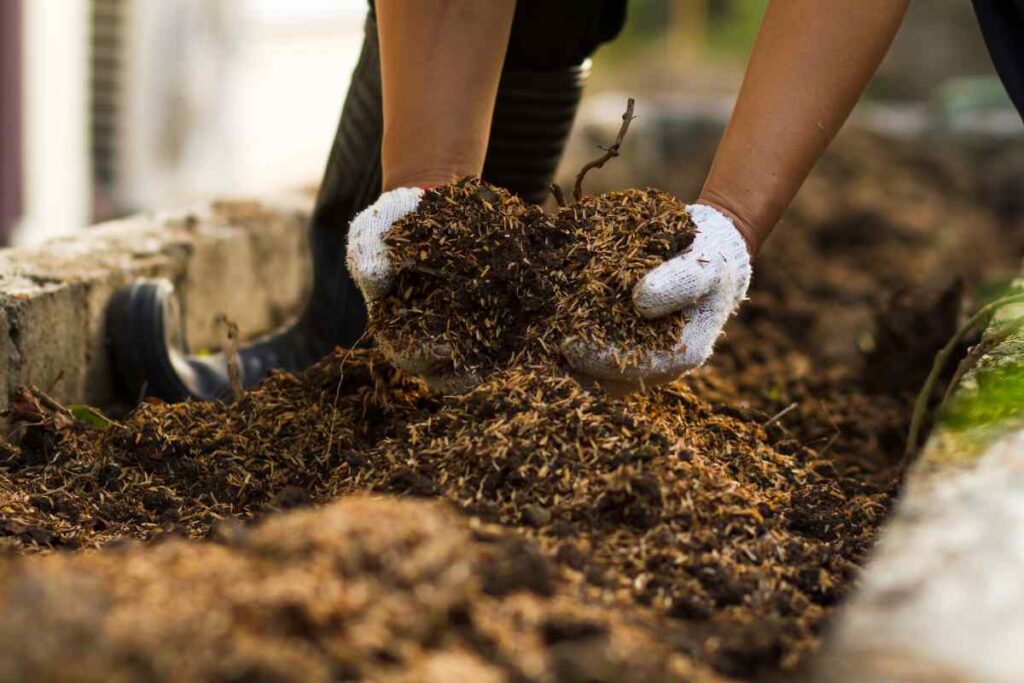 How to Start Composting Food Scraps: A Beginner’s Guide