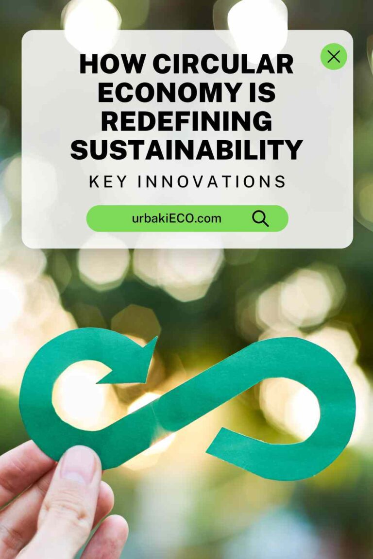 How Circular Economy is Redefining Sustainability: Key Innovations