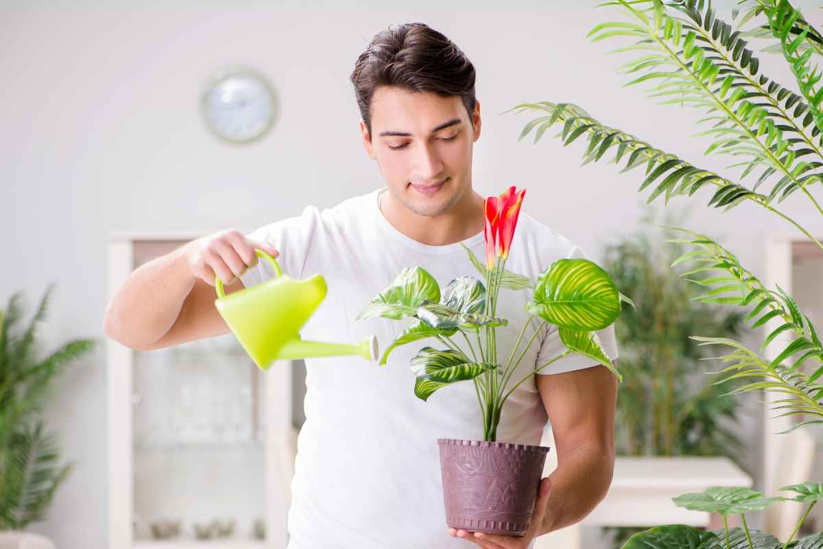 How to Reduce Water Usage at Home: Eco-Friendly Tips