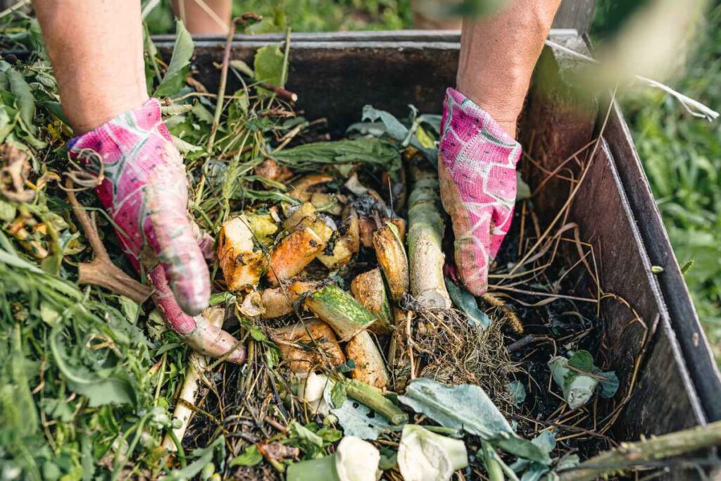 Sustainable Living: 20 Eco-Friendly Tips for a Greener Life