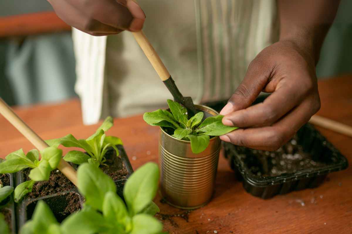5 Quick and Easy Upcycled Crafts for Beginners